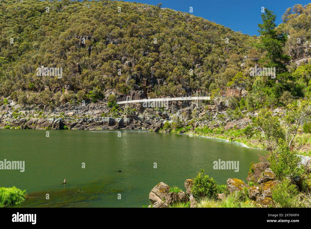 Cataract Gorge in Launceston, Tasmania, Australia. Some of the park's ...