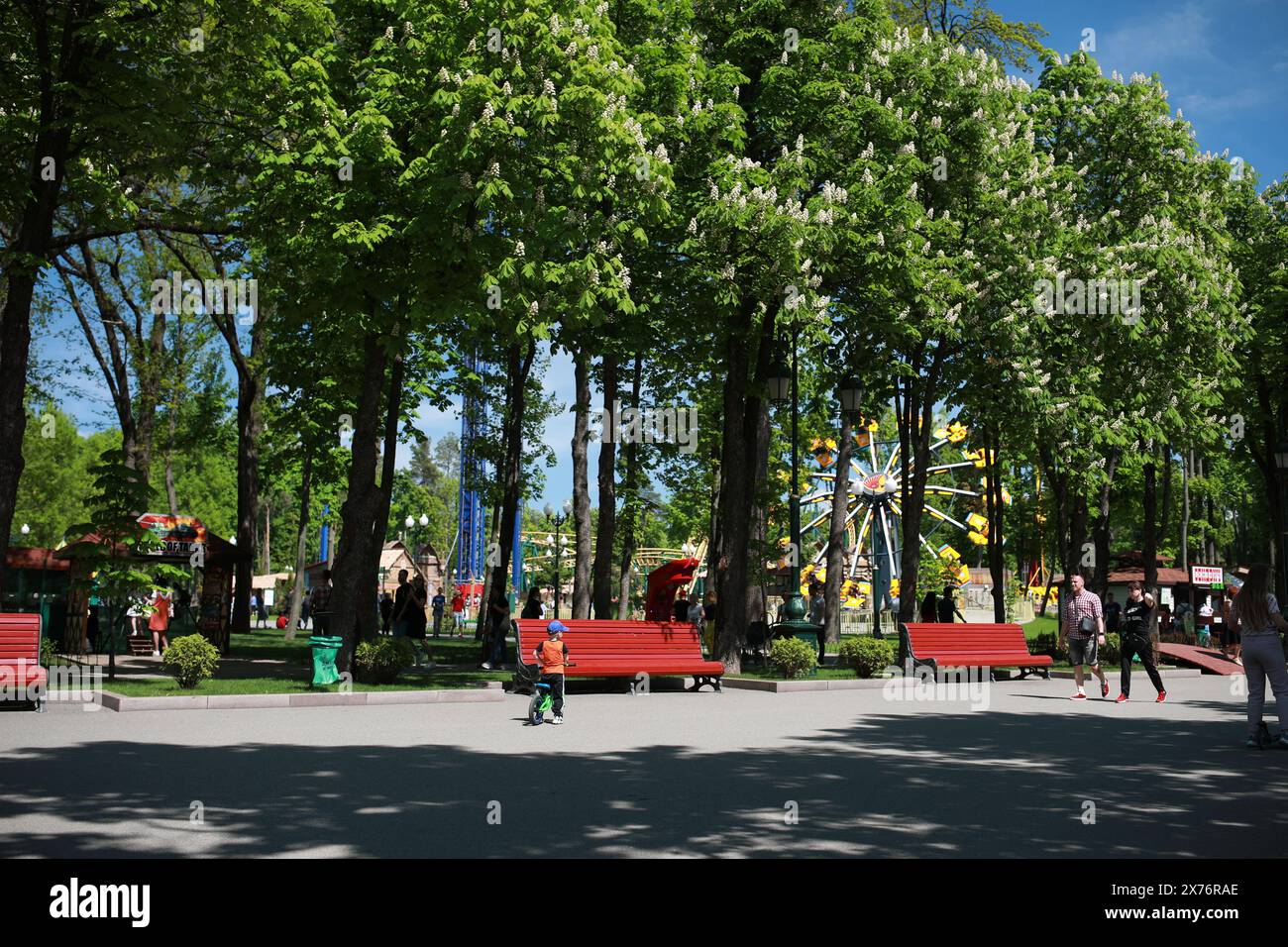beautiful large green park with many trees and flora Stock Photo - Alamy