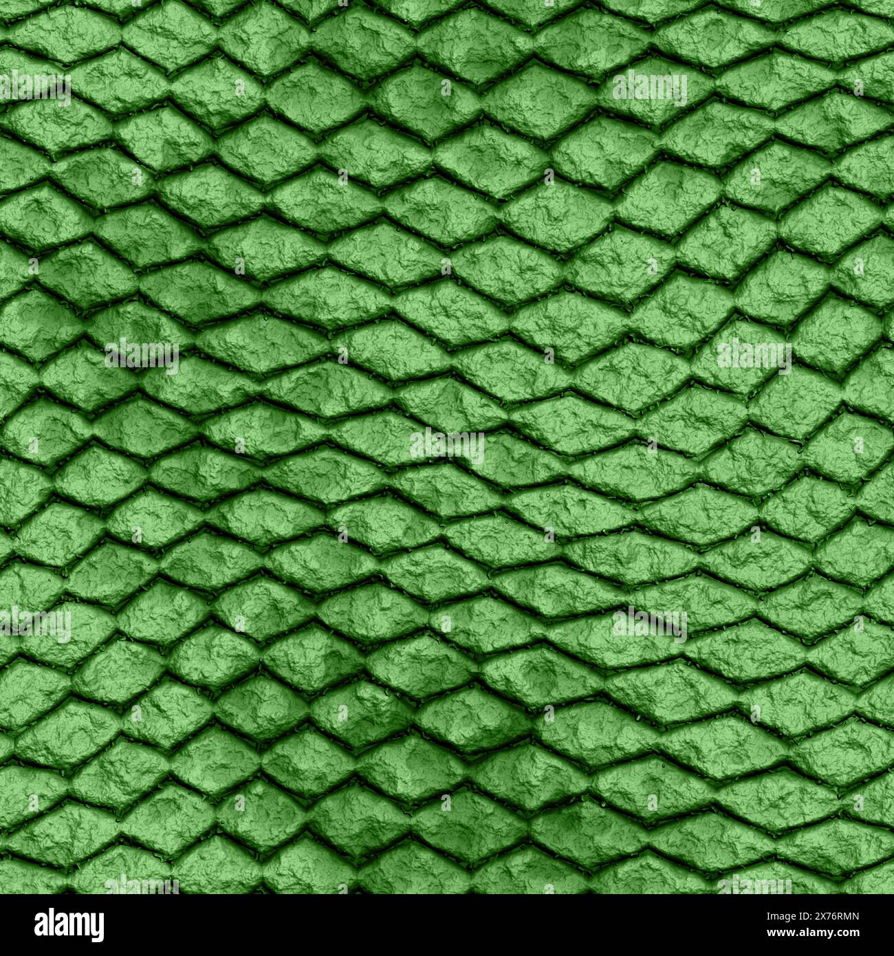 Lizard skin fashion hi-res stock photography and images - Alamy