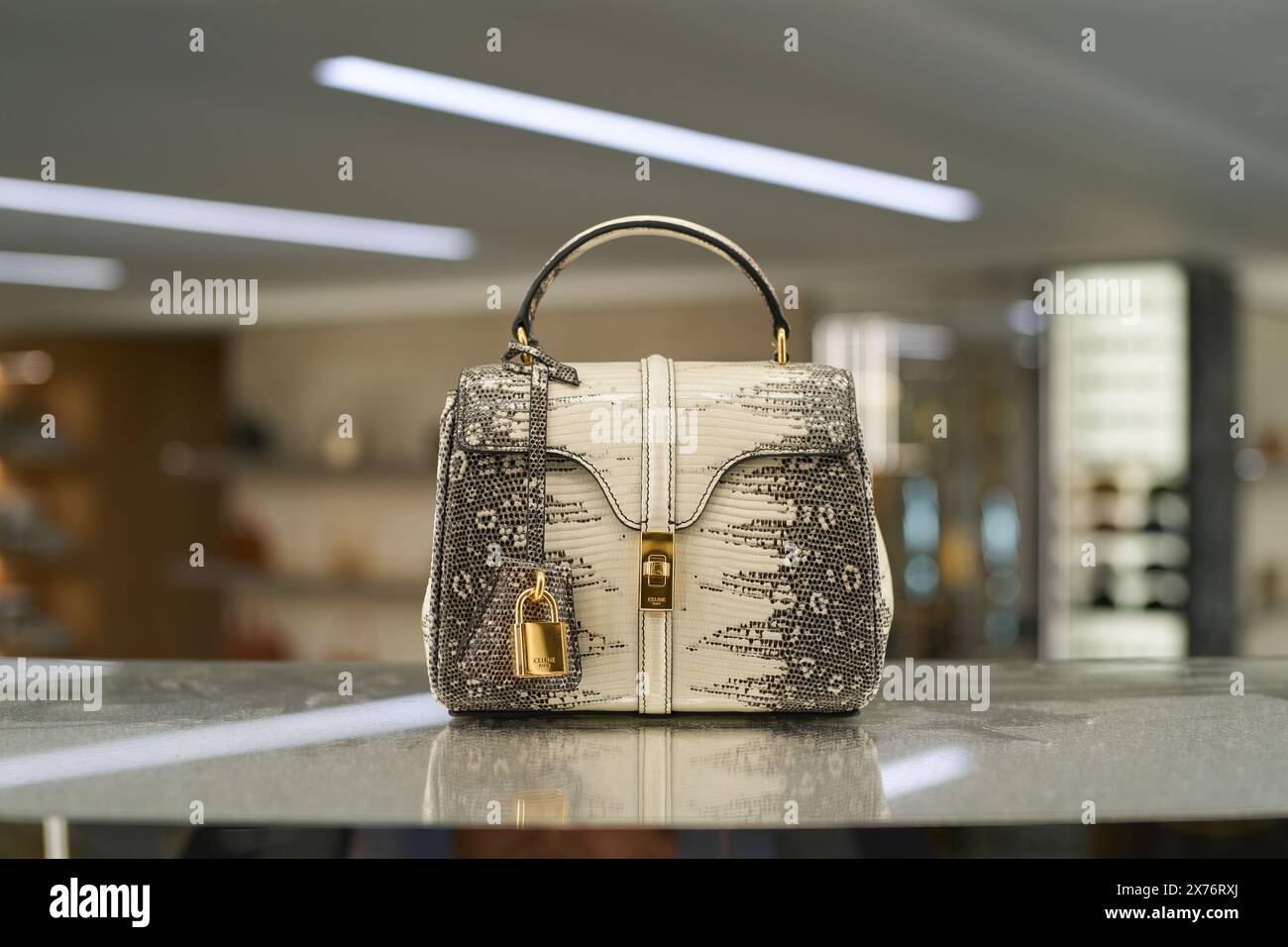 HONG KONG, CHINA - DECEMBER 05, 2023: close up shot of a bag displayed ...