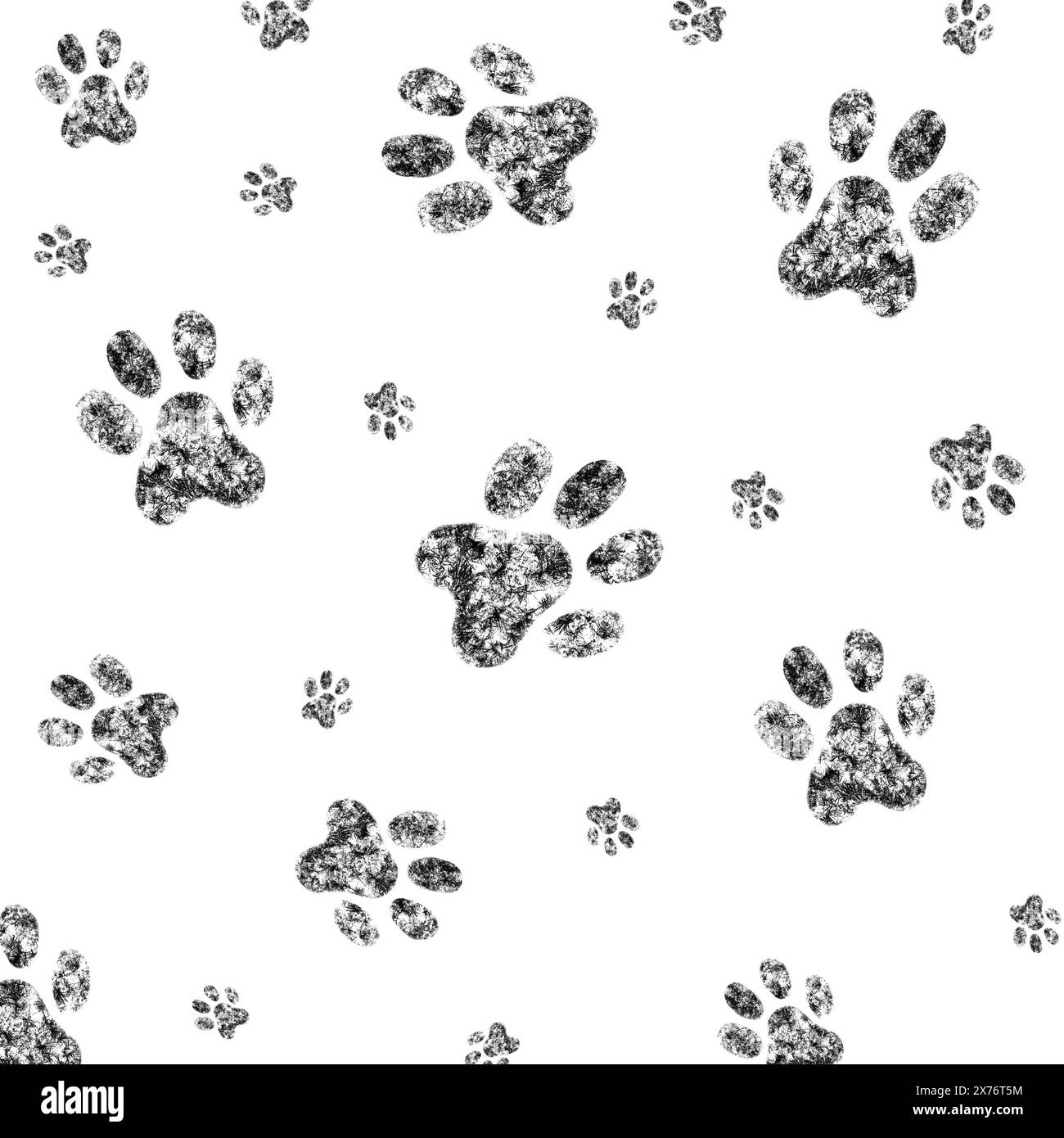 Wolf paw pads Black and White Stock Photos & Images - Alamy