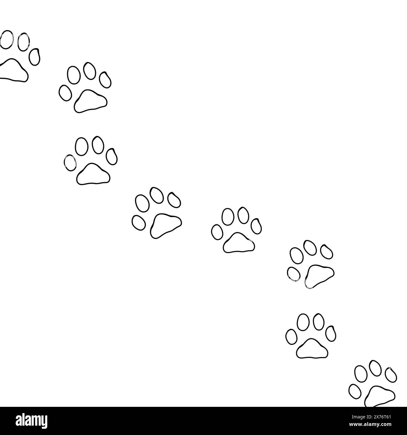 Wolf paw pads Black and White Stock Photos & Images - Alamy