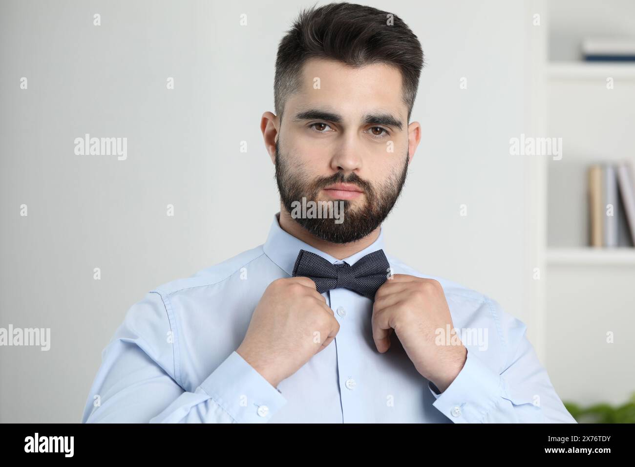 Portrait of handsome man adjusting bow tie indoors Stock Photo - Alamy