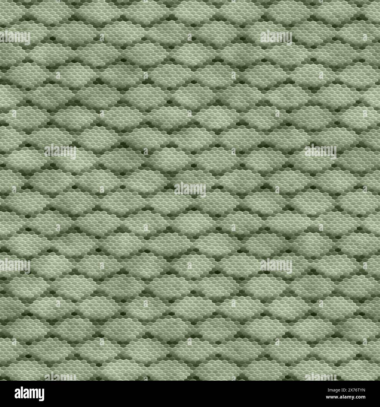 Reptile Skin - Real Reptiles, Lizard Stock Photo - Alamy
