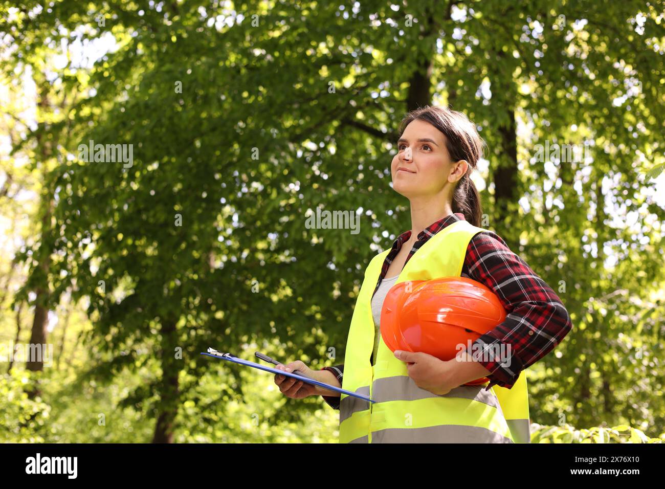 Forester with hard hat and clipboard examining plants in forest, space ...