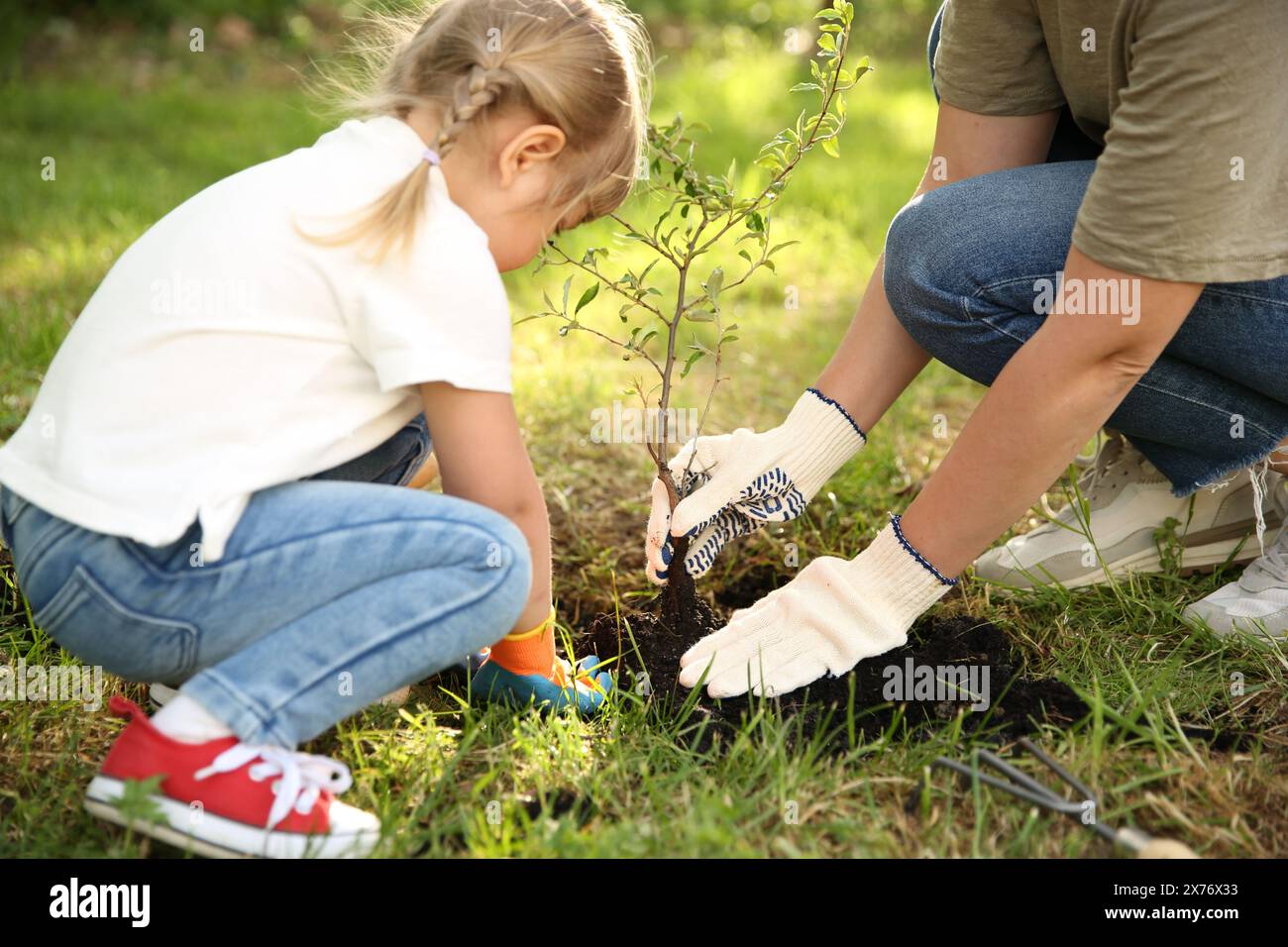 Mother and her daughter planting tree together in garden Stock Photo ...