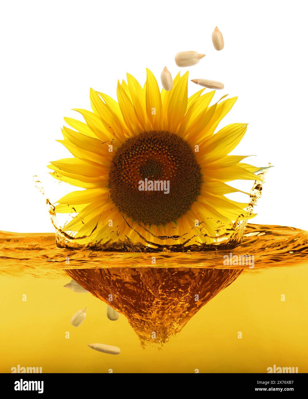 Sunflower and seeds falling into cooking oil on white background Stock ...