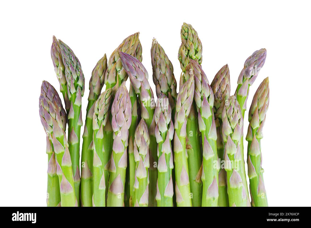 Bunch of raw green asparagus Isolated on white background. Edible ...