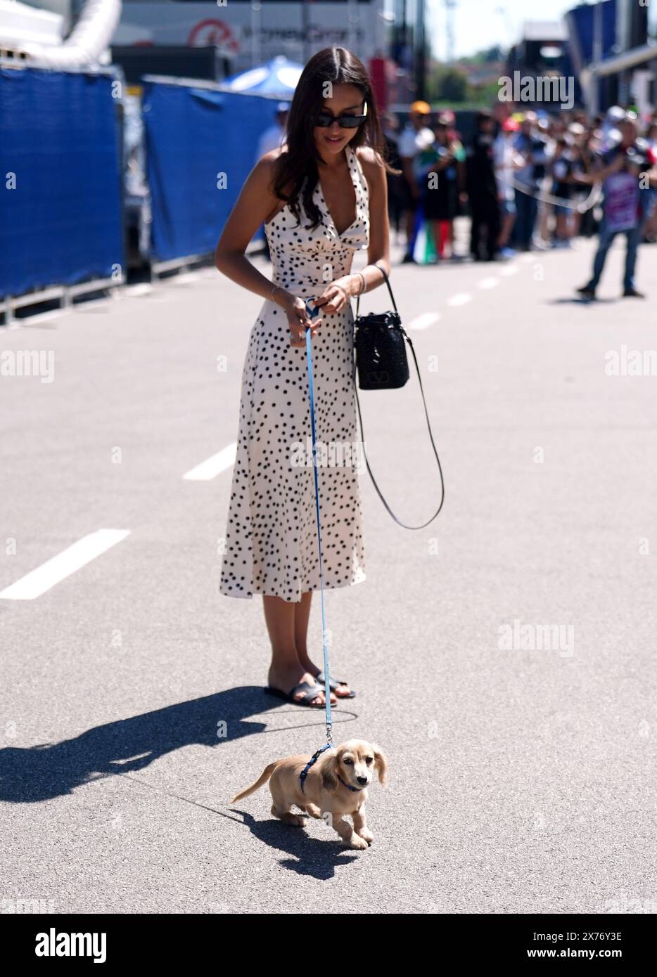 Alexandra dino hi-res stock photography and images - Alamy