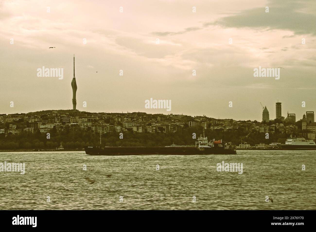 The skyline of Istanbul from Bosphorus Strait Stock Photo - Alamy