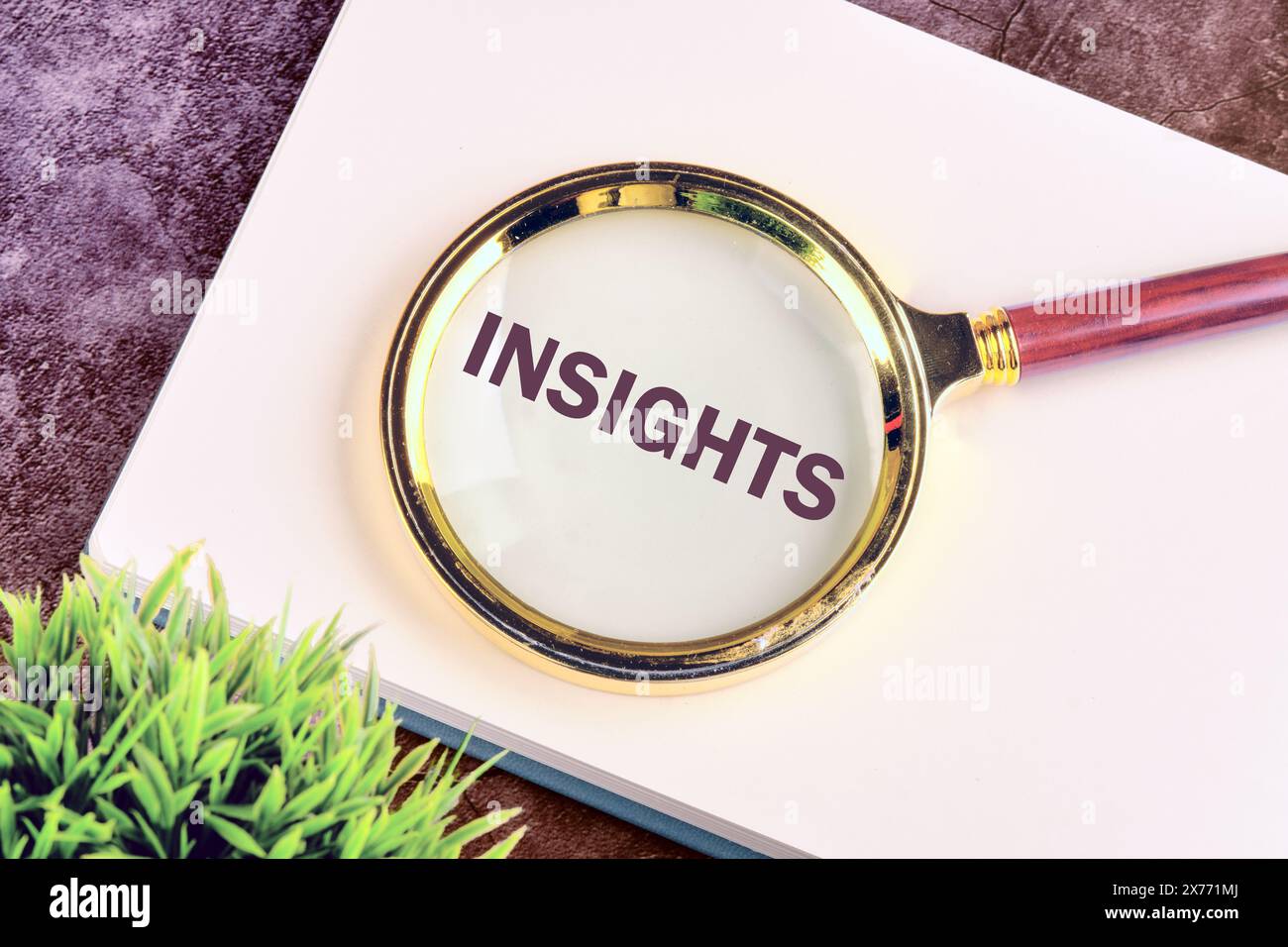 Mindful Perception Concept. INSIGHTS word through a magnifying glass on ...