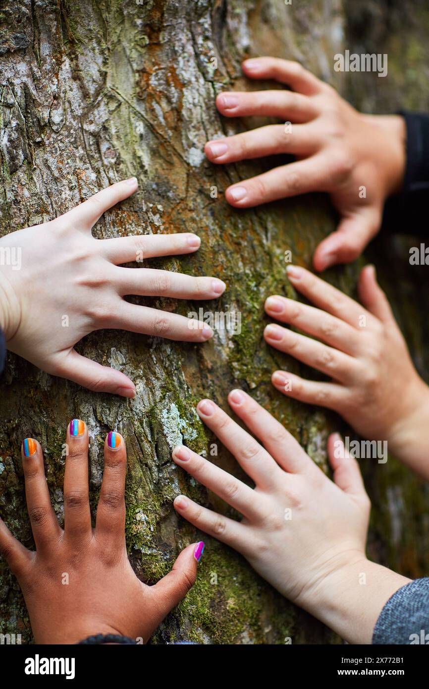 Trunk, nature and hands on tree with sustainability, eco friendly and ...