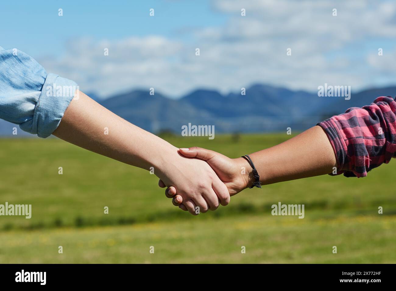 Field, arms and holding hands in nature for support, direction and ...