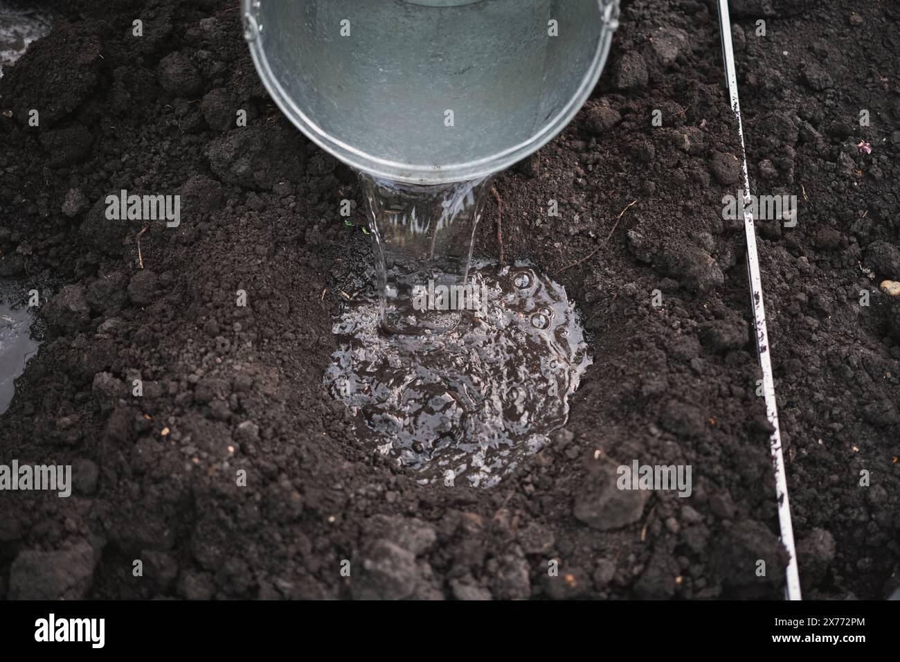 Close-up of a bucket of water watering the ground before planting ...