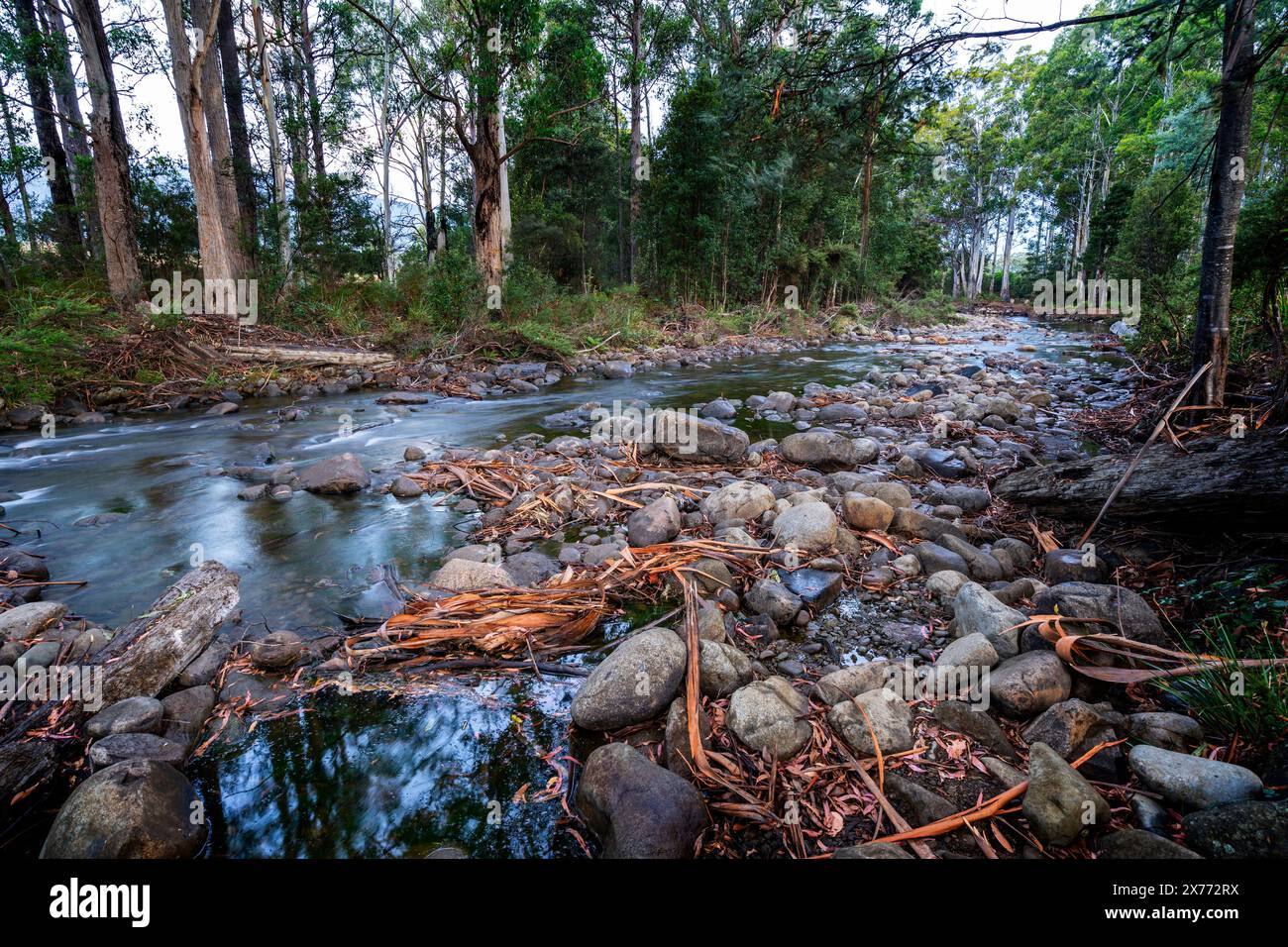 Water flowing over stoney riverbed of the Russel River, Tasmania Stock ...