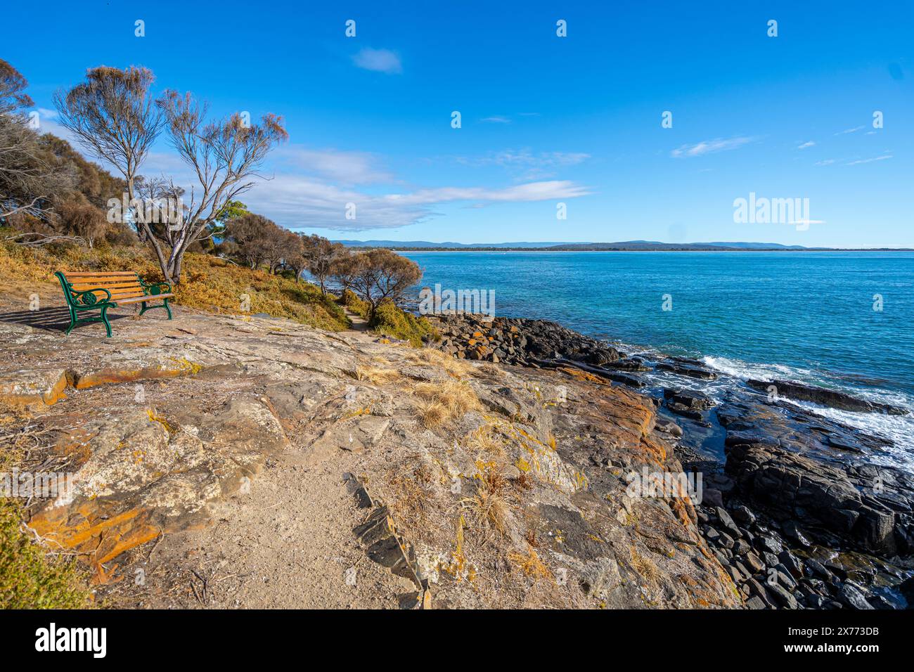 Tasmania beach oyster hi-res stock photography and images - Alamy