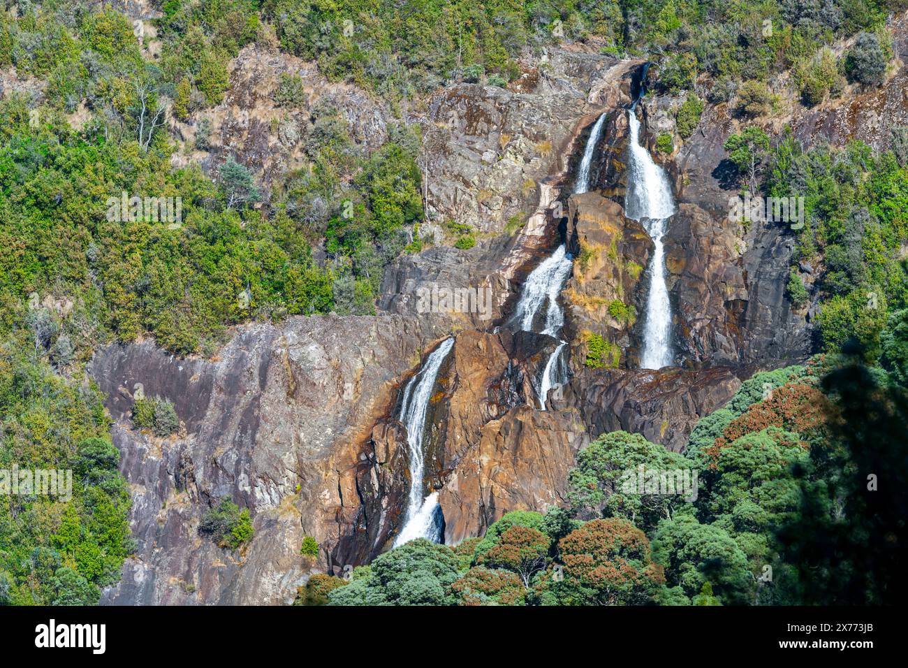 St Columba Falls,Pyengana,Tasmania Stock Photo - Alamy