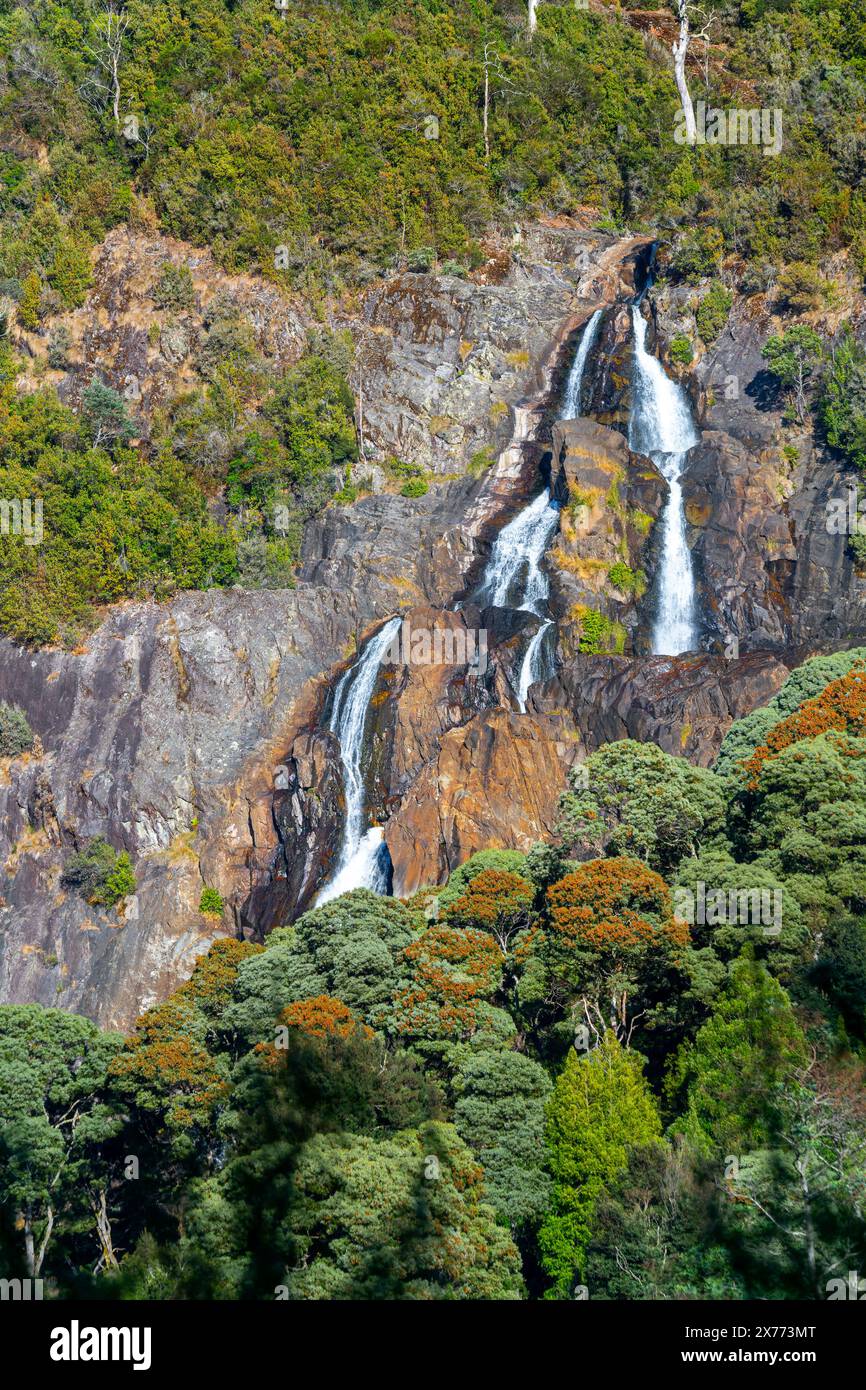 St Columba Falls,Pyengana,Tasmania Stock Photo - Alamy