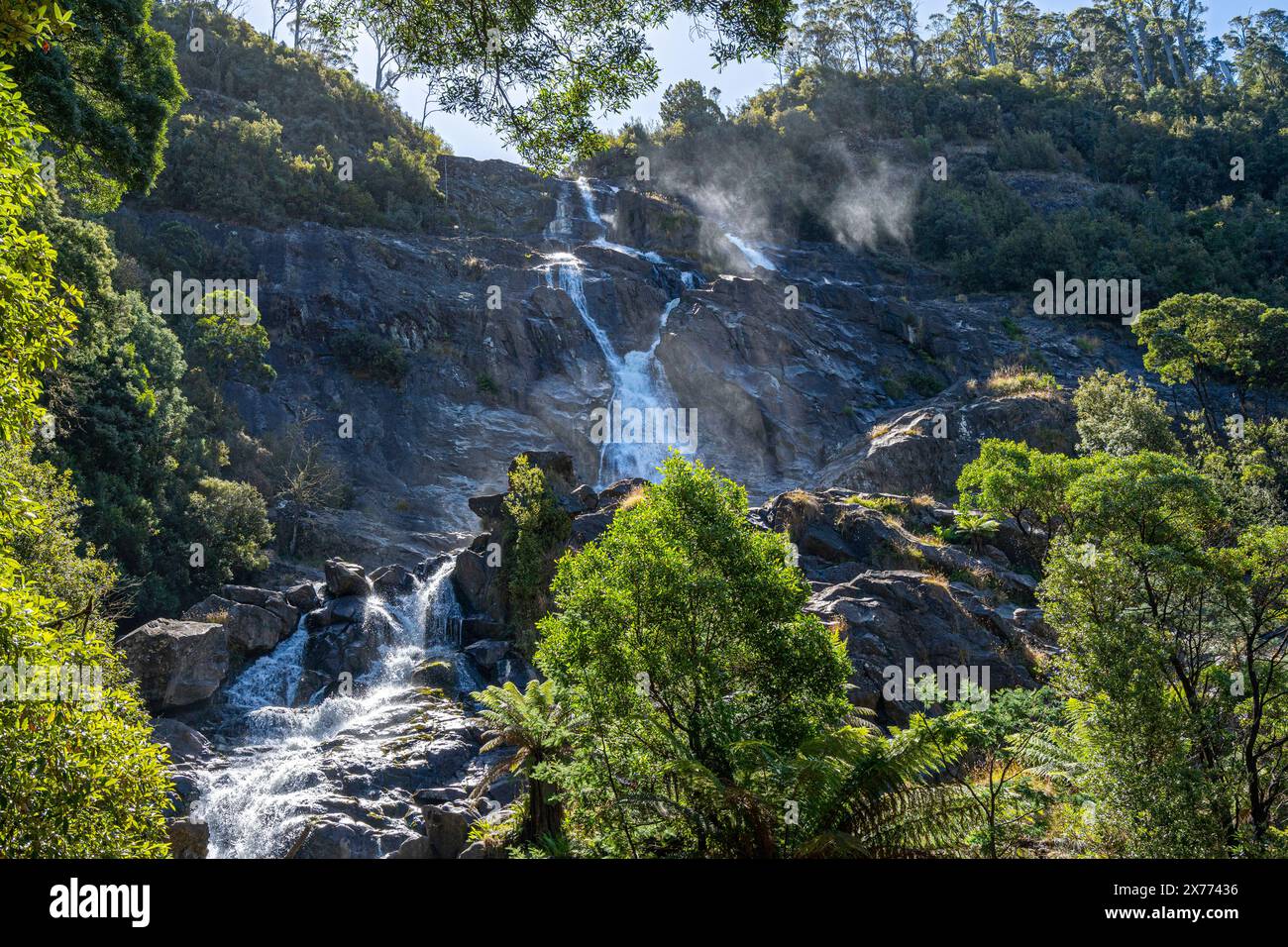 St Columba Falls,Pyengana,Tasmania Stock Photo - Alamy