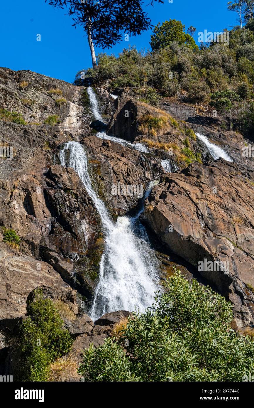 St Columba Falls,Pyengana,Tasmania Stock Photo - Alamy