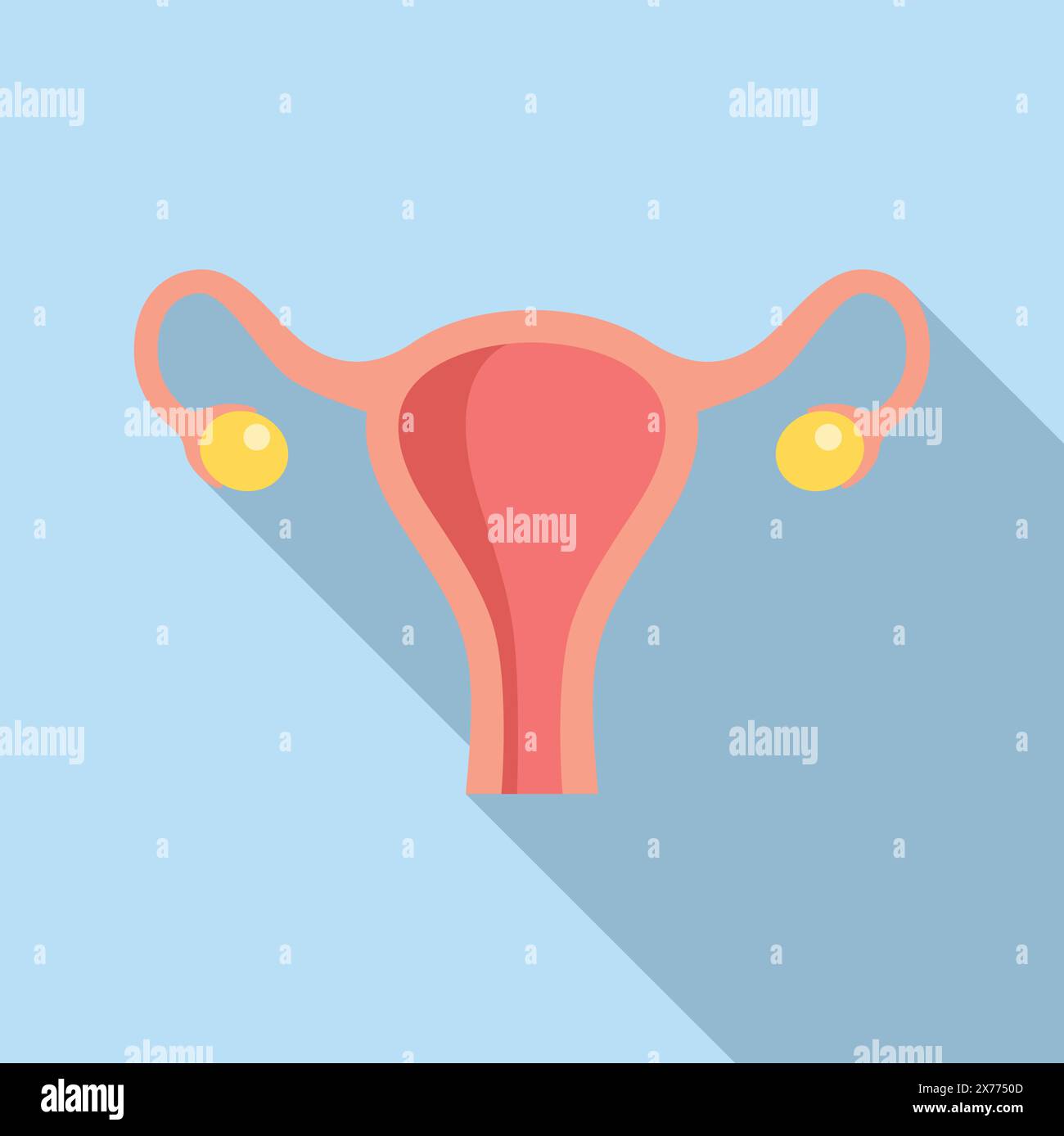 Illustration of the female reproductive system anatomy with uterus ...