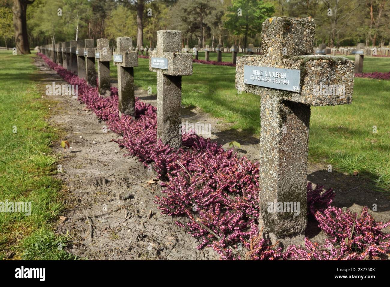 The Lommel German World War 2 Cemetery, final resting place of over ...