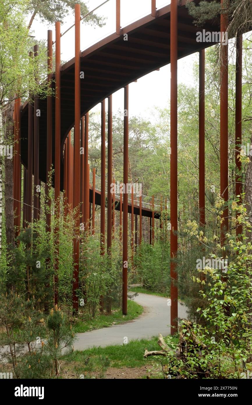 The "Cycling through trees" elevated cycle route in the Bosland ...