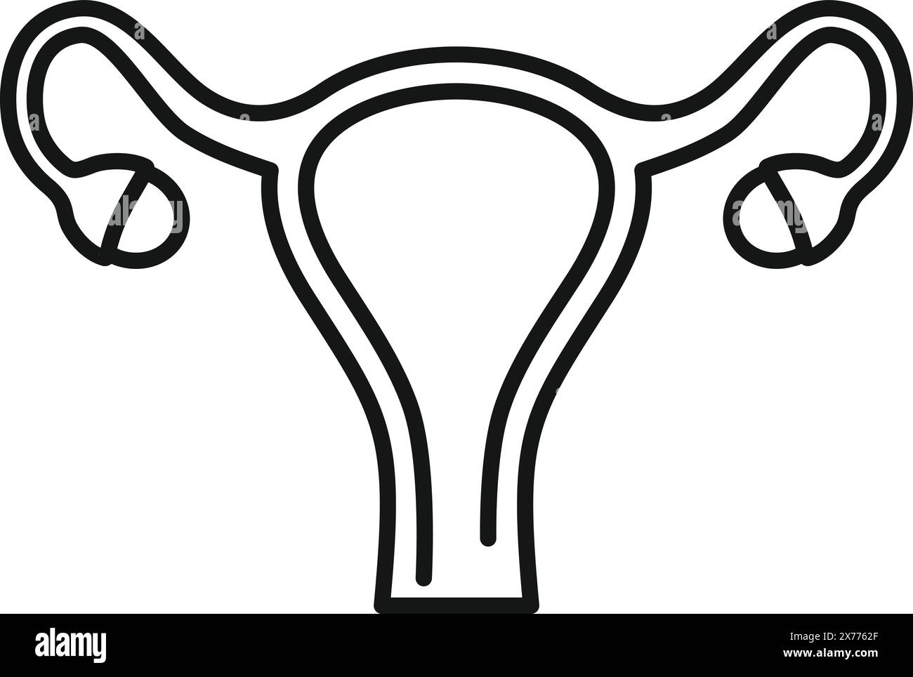 Minimalist black line illustration of a human uterus, suitable for ...