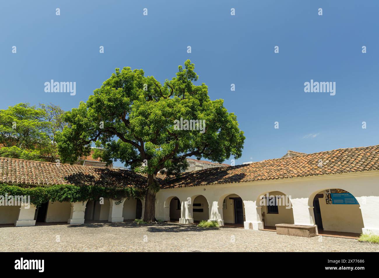Salta town hall argentina hi-res stock photography and images - Alamy