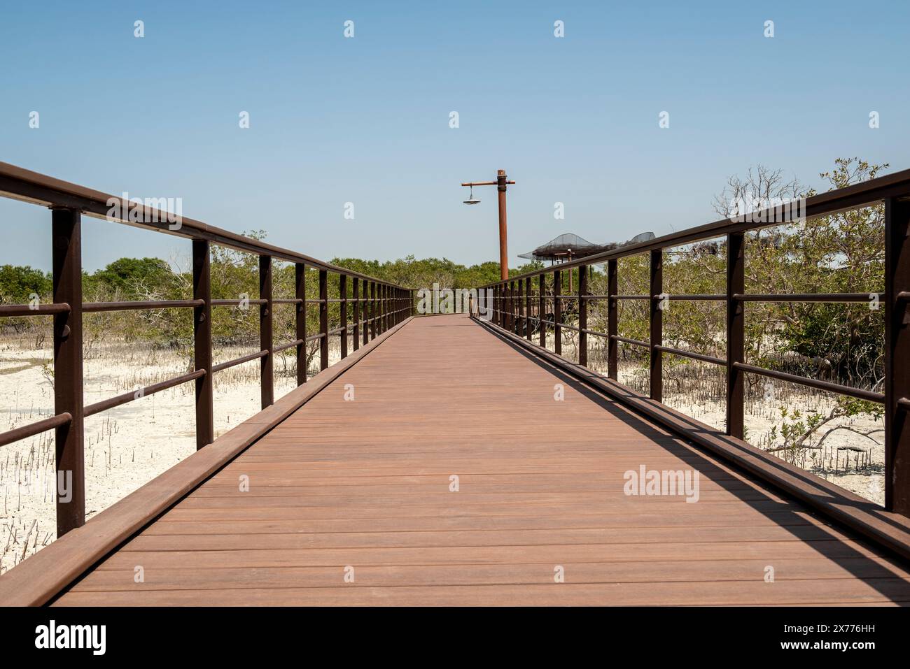 Mangrove park Long board walk Stock Photo - Alamy