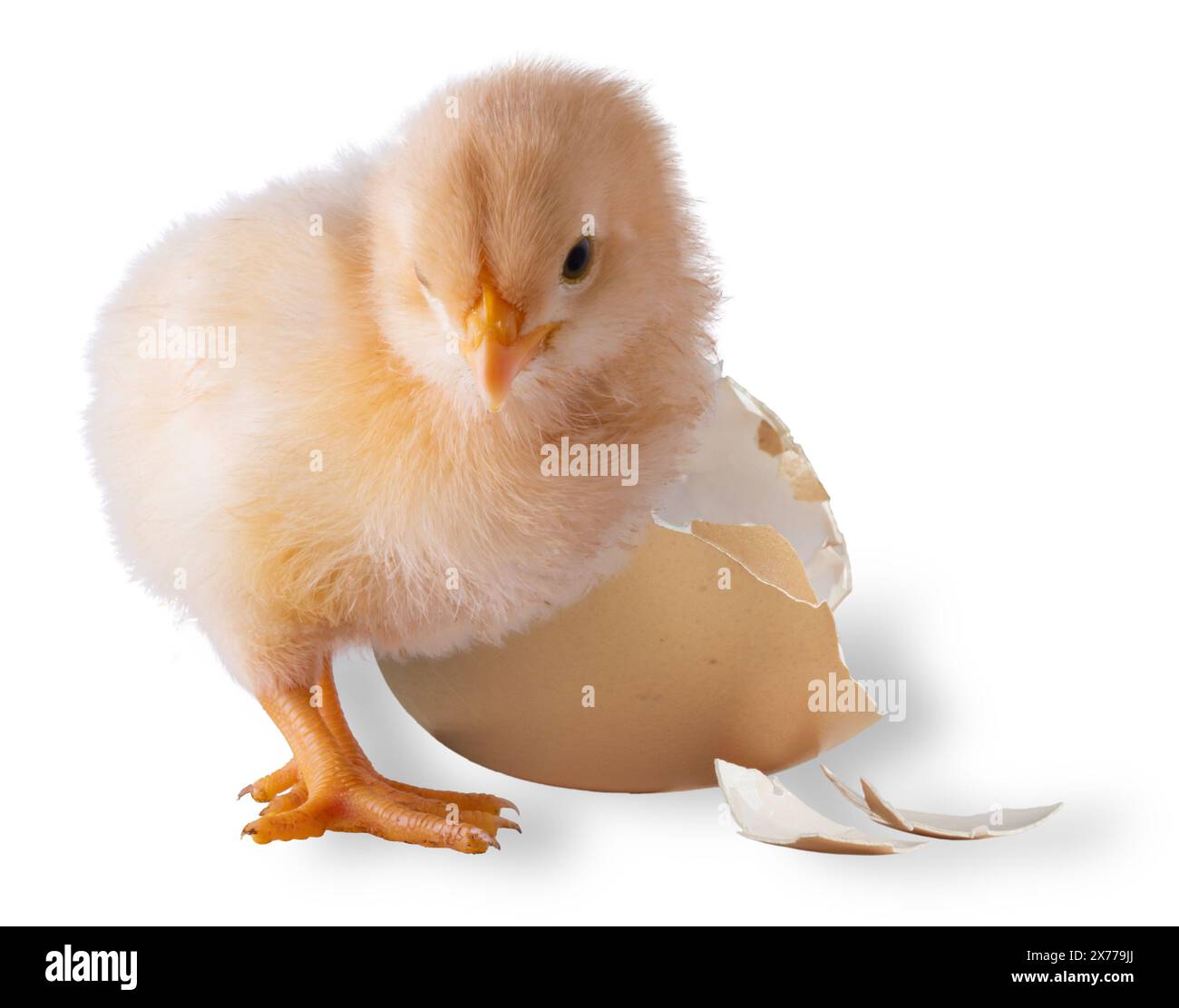 Newborn check Cut Out Stock Images & Pictures - Alamy