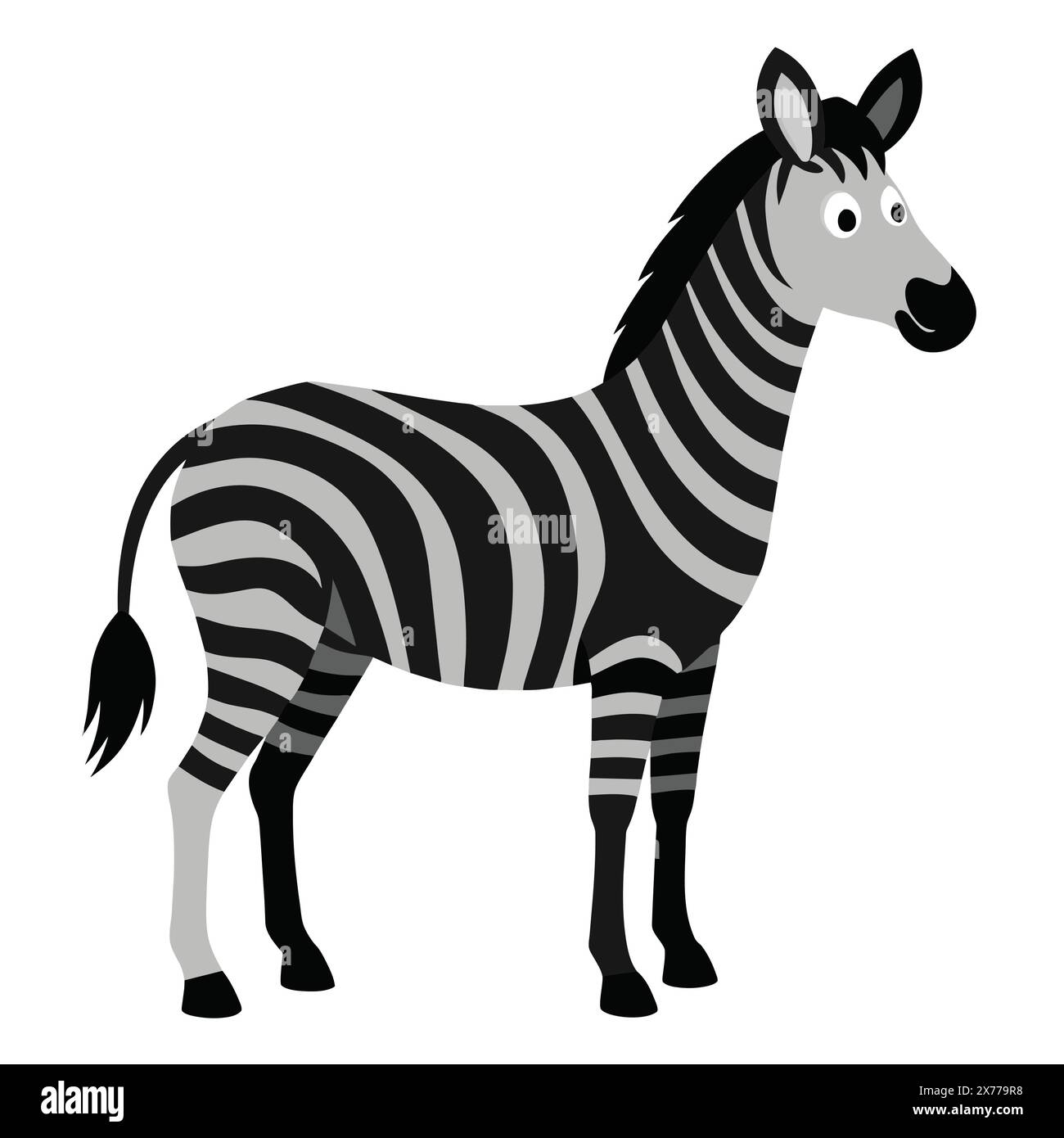 A zebra standing on a white background Stock Vector Image & Art - Alamy