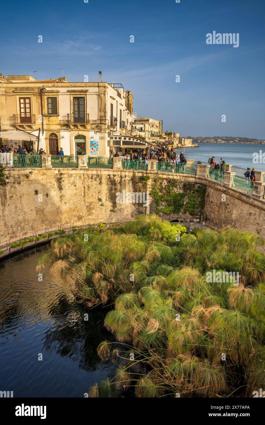 The Fountain of Arethusa, a natural spring on the island of Ortygia ...