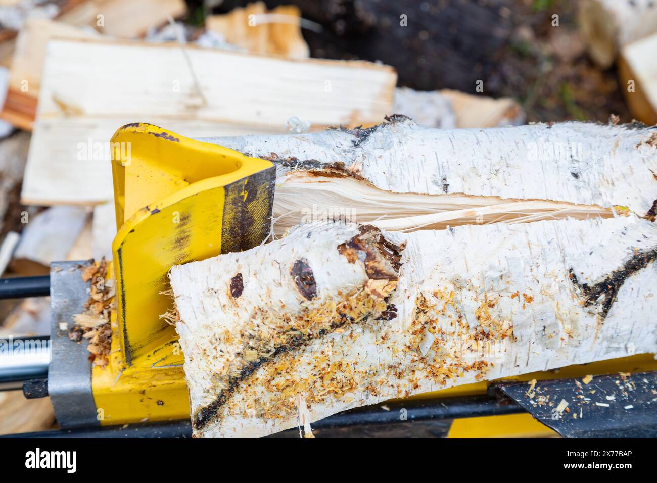 Mechanical action of a wood splitter with destructive force on a birch ...