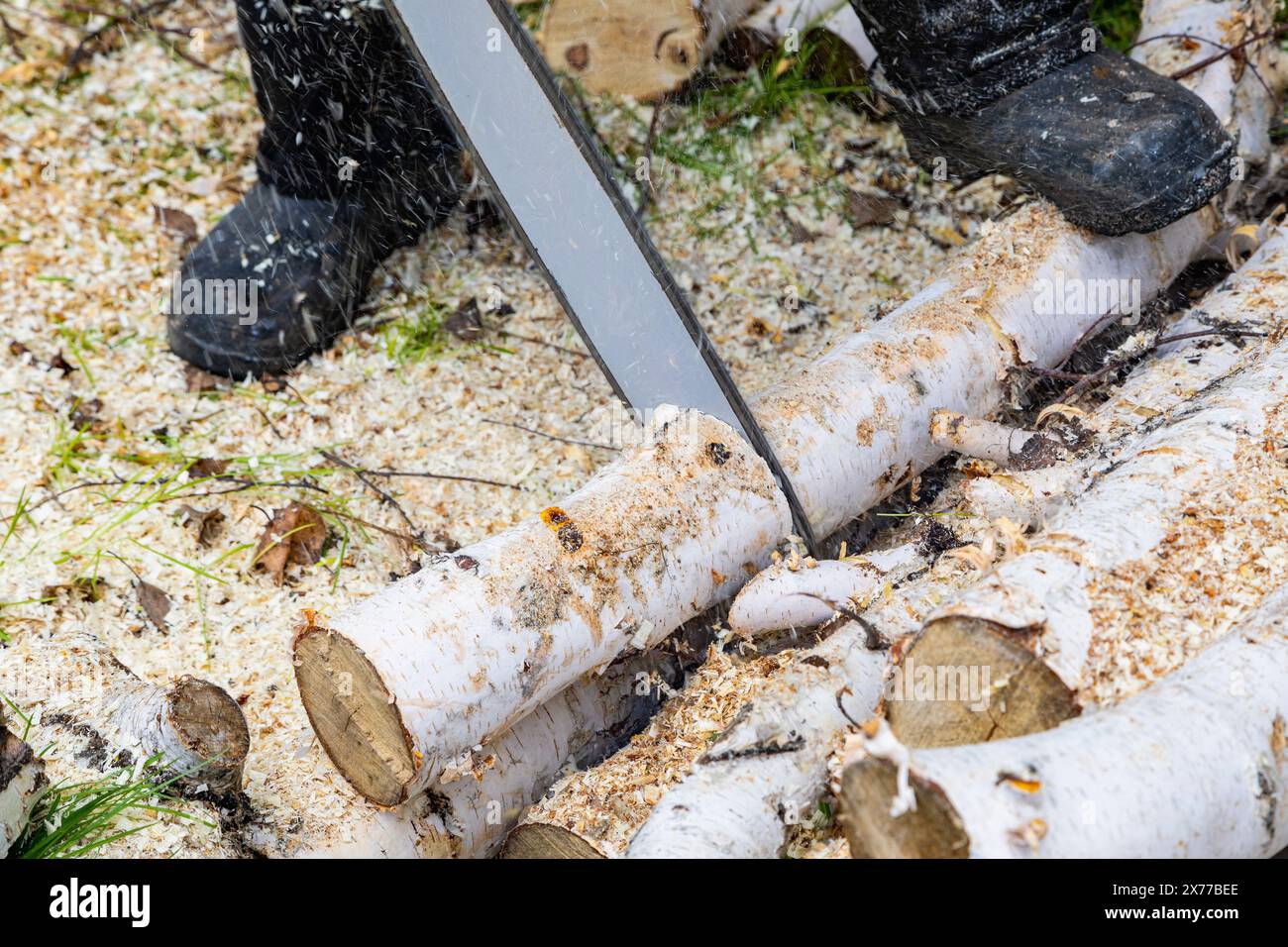 Power and technology in action. A man chops wood with an electric tool ...