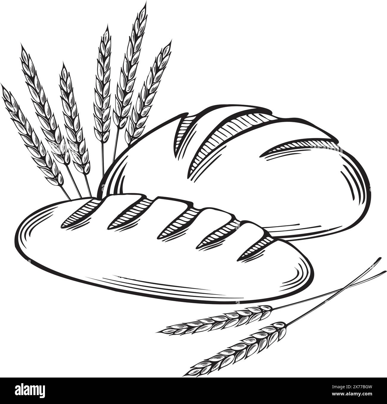 French loaf and round bread, wheat ears. Bakery goods, white and rye ...