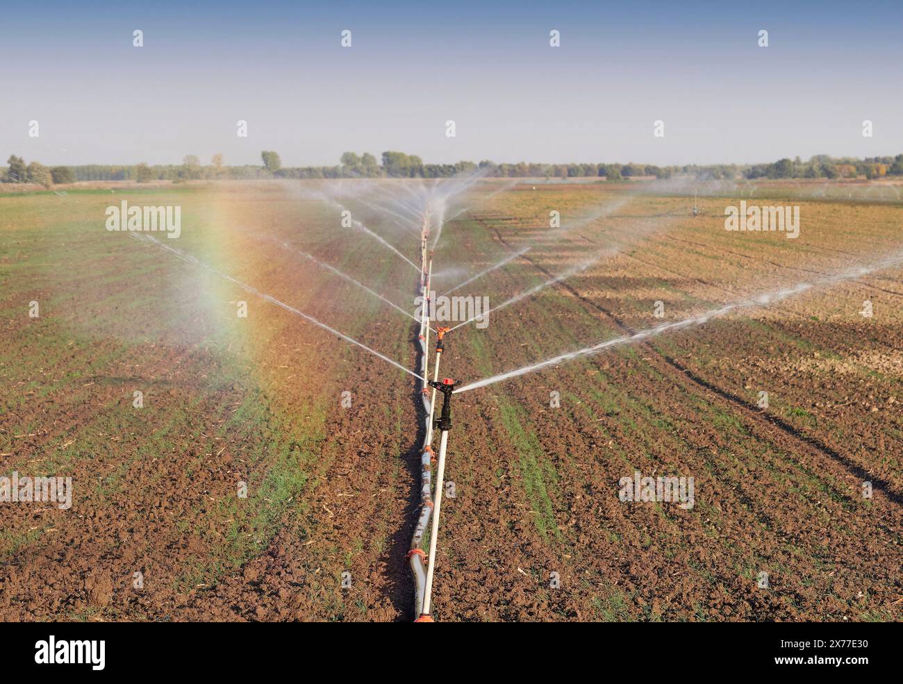 Irrigation system with sprinkler on new crop field and rainbow Stock ...