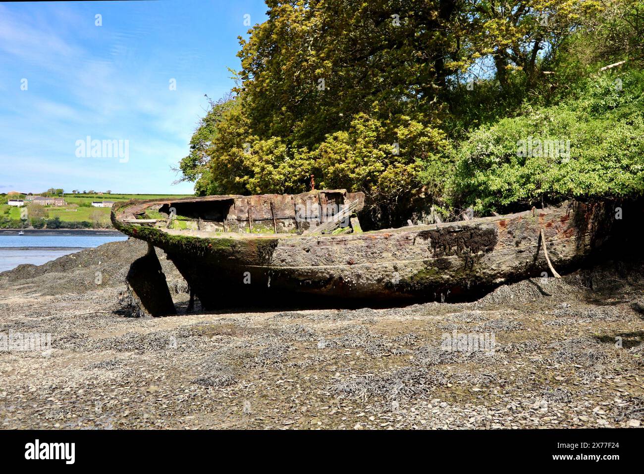 The wreck of the Iron Duke at Frenchman’s Creek in Helford Stock Photo ...