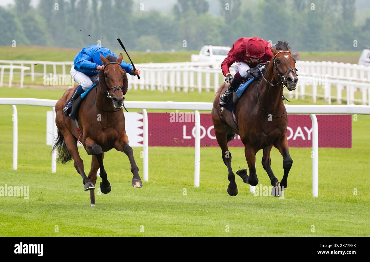 Roaring lion horse ascot hi-res stock photography and images - Alamy