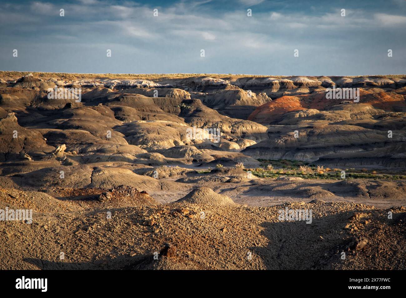 The wind and water sculpted landscape of the Bisti Badlands (de-na-zin ...