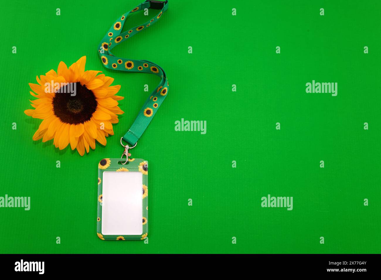 Sunflower lanyard, symbol of people with invisible or hidden ...