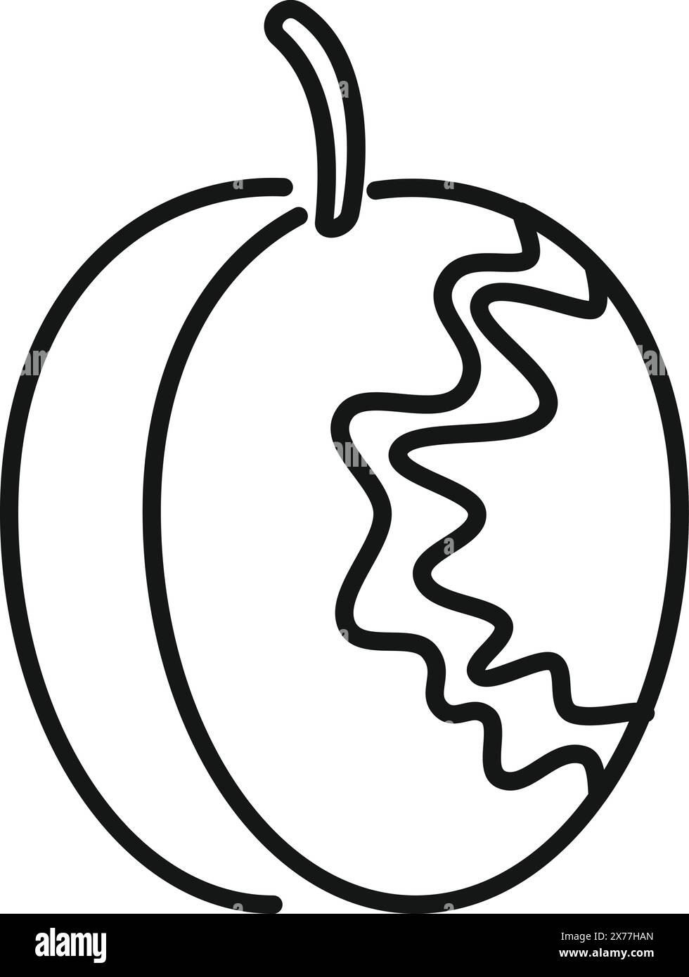 Minimalist line drawing of a peach for logos, icons, and design ...