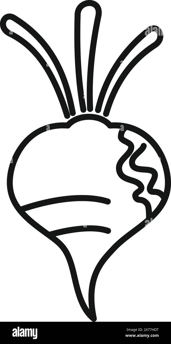 Simple and modern black and white line drawing of a beetroot, perfect ...