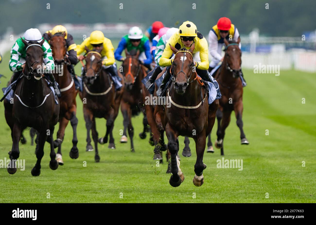 Highclere stud hi-res stock photography and images - Alamy