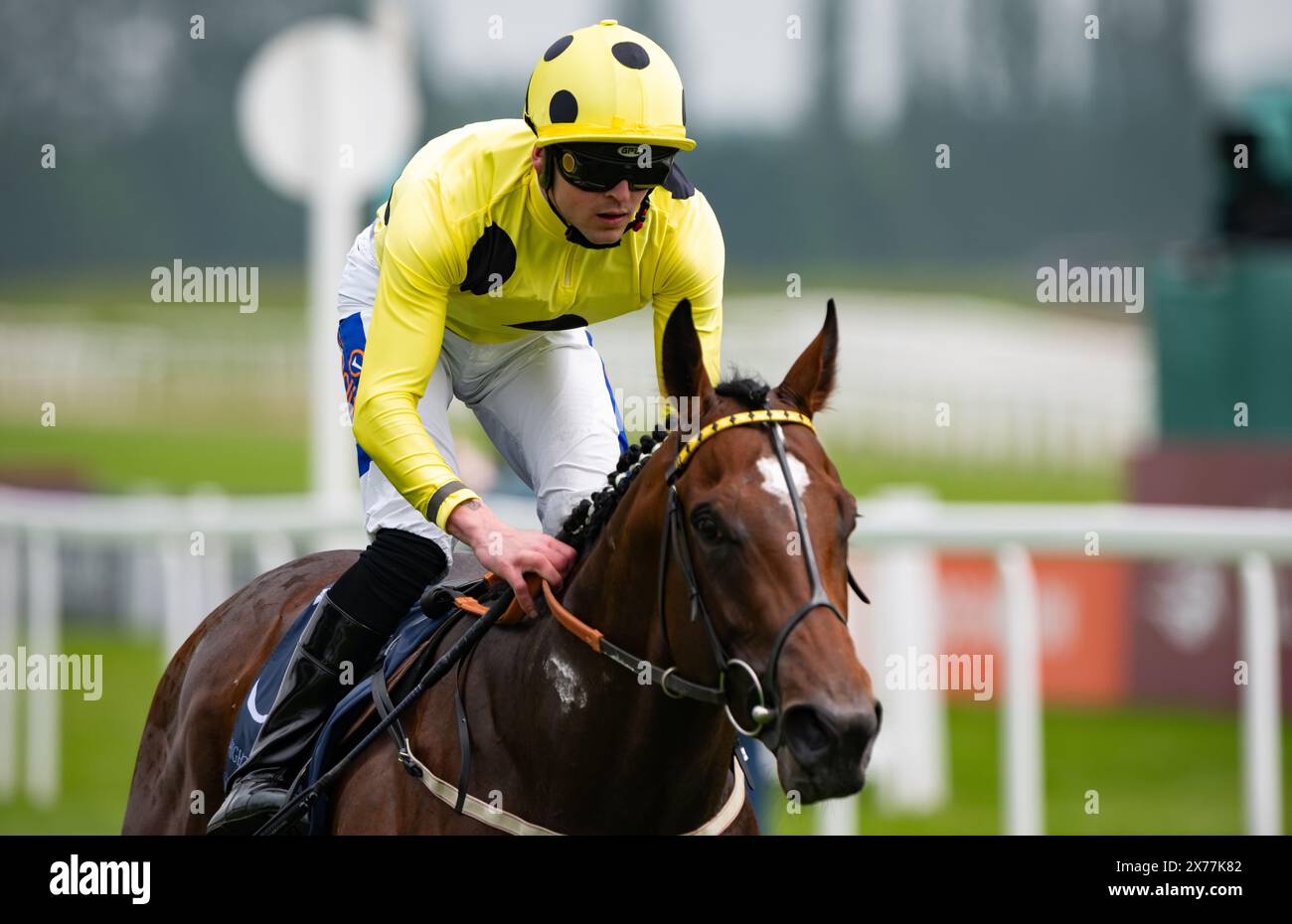 Karl lee hi-res stock photography and images - Alamy