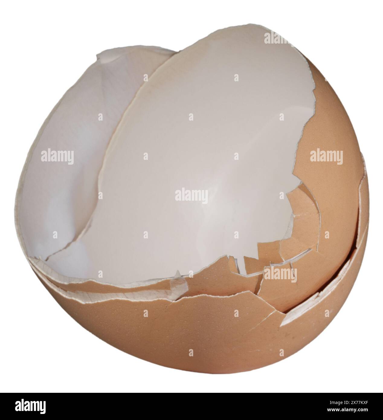 Isolated free range chicken egg that has been split in half Stock Photo ...