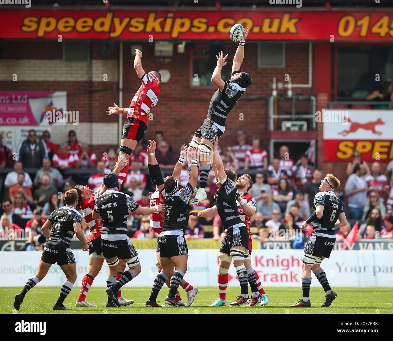 Tim Cardall of Newcastle Falcons catches the high ball during the ...