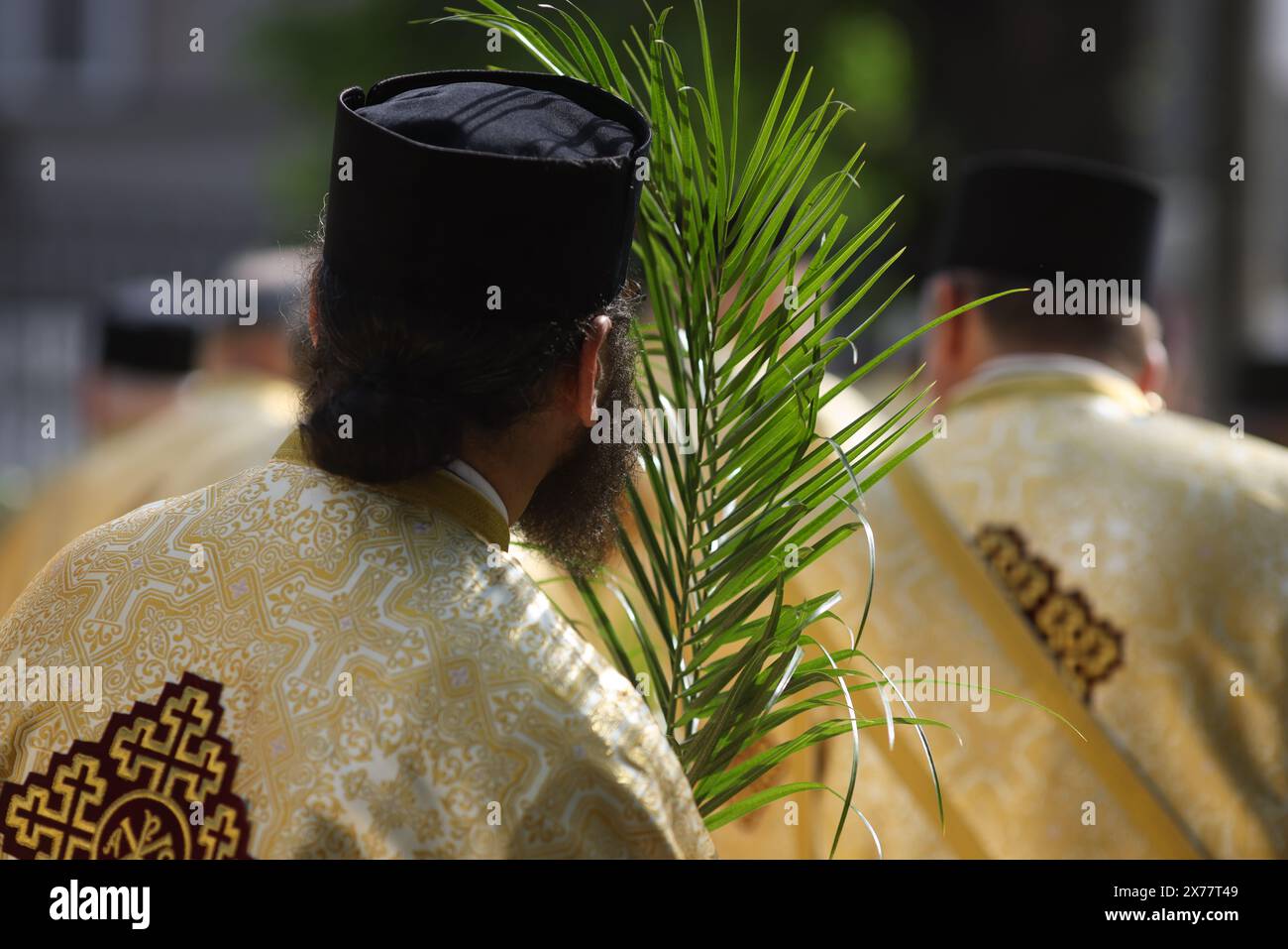 Romanian Orthodox priests holding palm leaves walk on the streets of ...