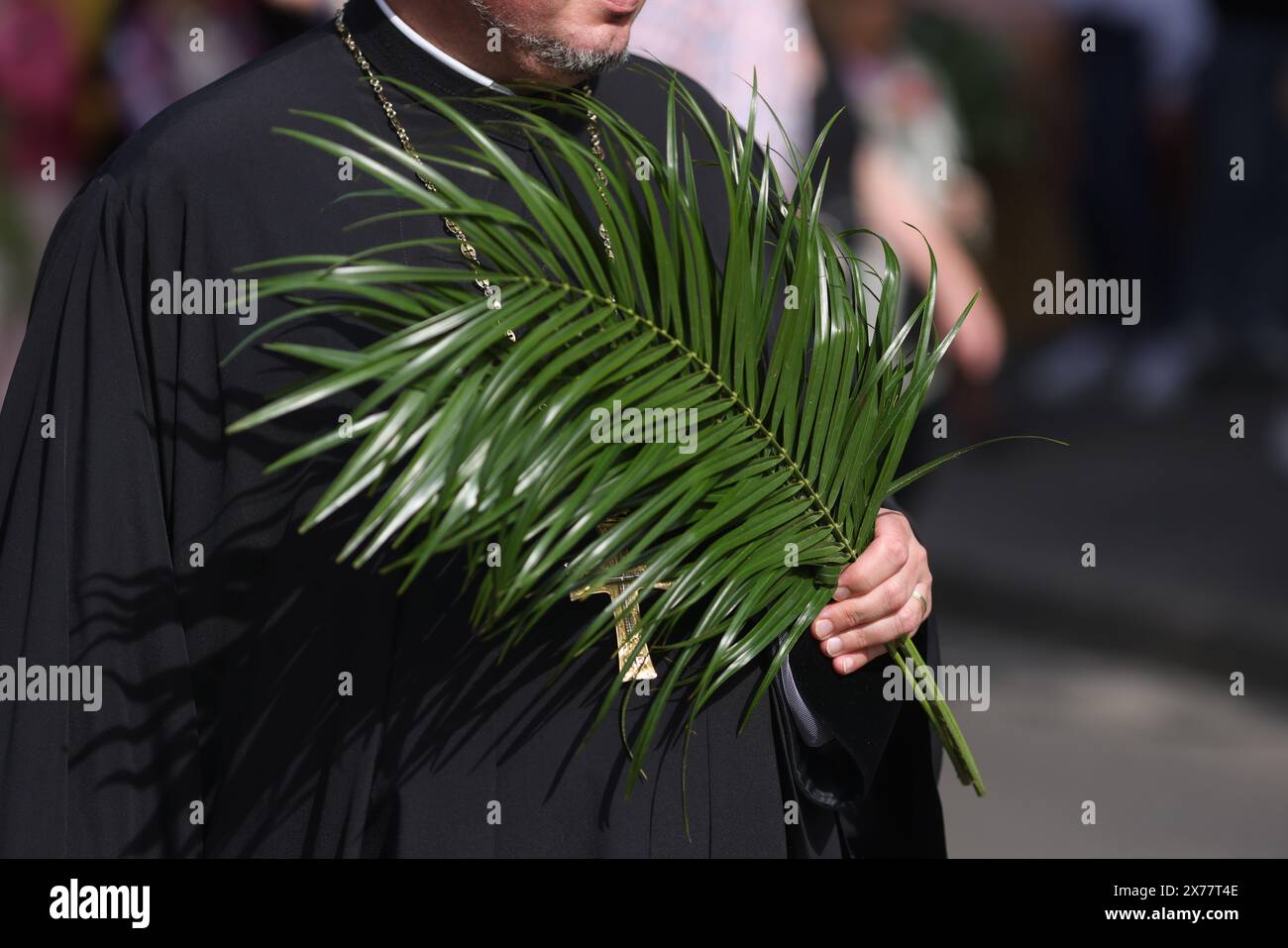 Romanian Orthodox priests holding palm leaves walk on the streets of ...