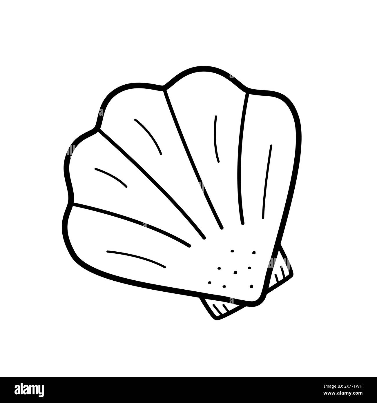Seashell, single isolate on a white background. Vector illustration of ...